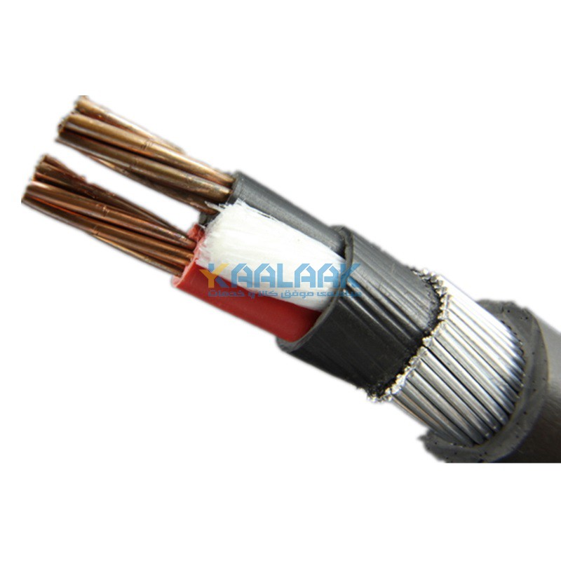 فروشگاه اینترنتی کالاک | کابل قدرت آرموردار N2XRY افشار نژاد با عایق XLPE 70/35*3 پلی اتیلن (XPLE)